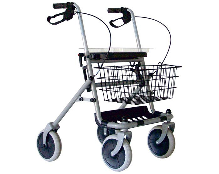 Rollmobil silber - Frühwald Heilbehelfe